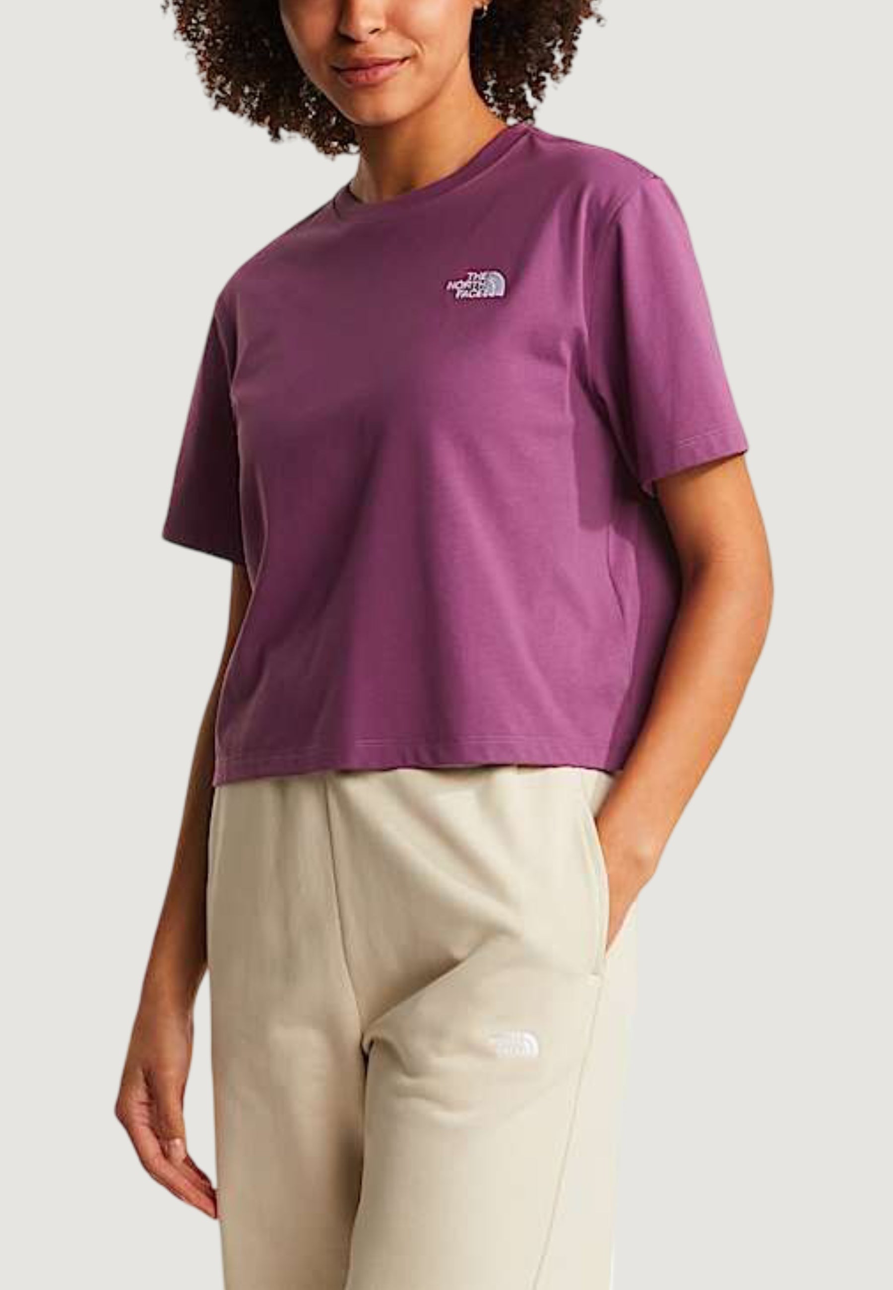T-shirts THE NORTH FACE W EVOLUTION SIMPLE DOME CROP RLX SS TEE Violet ...